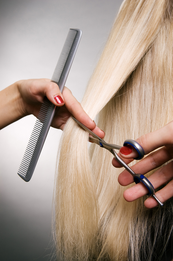 Salon Serendipity » The Team